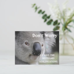 Funny Koala koalifications meme Postcard | Zazzle