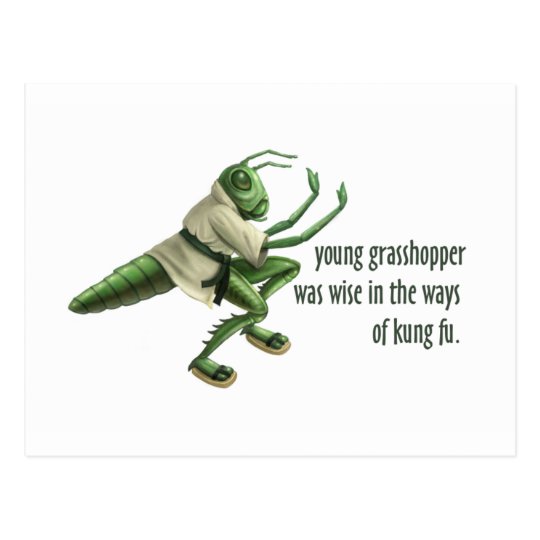 Funny Kung Fu Grasshopper Postcard | Zazzle.com