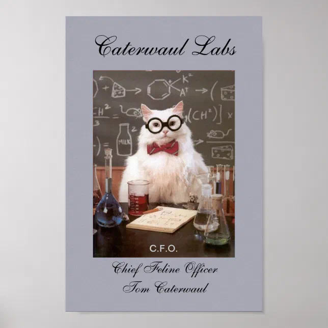Funny Lab Cat CFO or Chief Feline Officer Picture Poster | Zazzle