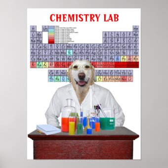 Funny Lab Chemistry Poster for Teachers | Zazzle