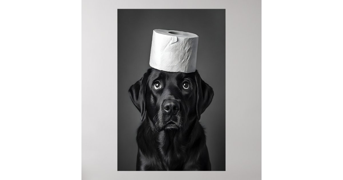 Funny Labrador Bathroom Print, Toilet Paper Hat Poster | Zazzle