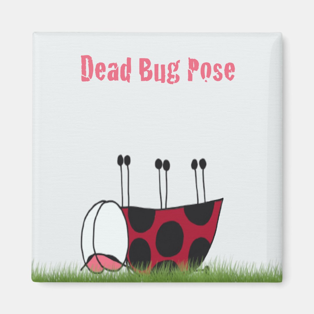 Funny Ladybug Dead Bug Yoga Pose Magnet | Zazzle