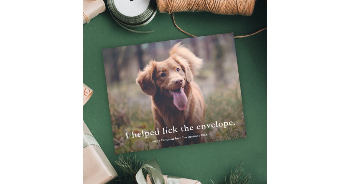 Funny Lick the Envelope Pet Christmas Card | Zazzle