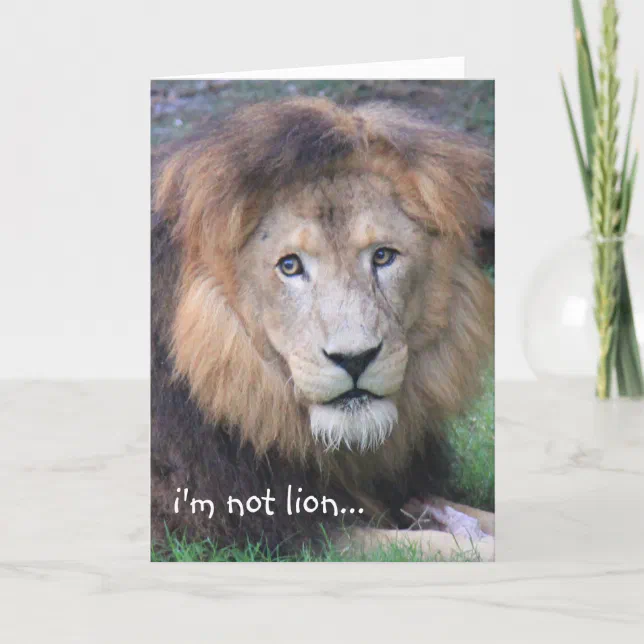 Funny Lion Birthday Card | Zazzle