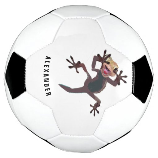 Funny Lizard Gecko Personal Soccer Ball | Zazzle