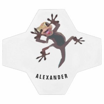 Funny Lizard Gecko Personal Soccer Ball | Zazzle