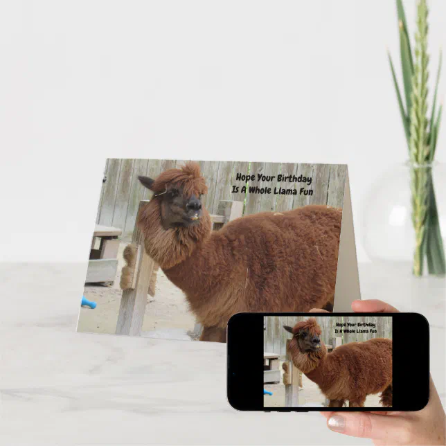 Funny Llama Birthday Card | Zazzle