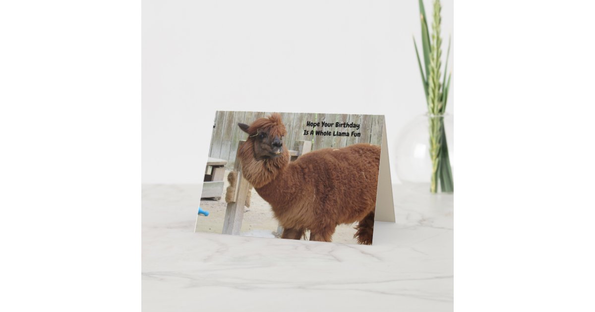 Funny Llama Birthday Card | Zazzle