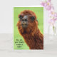 Funny Llama Graduation Card | Zazzle