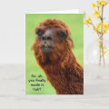 Funny Llama Graduation Card | Zazzle