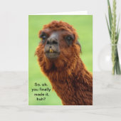Funny Llama Graduation Card | Zazzle