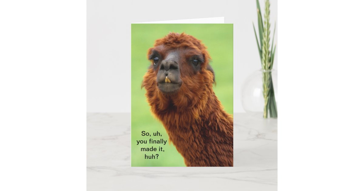 Funny Llama Graduation Card | Zazzle