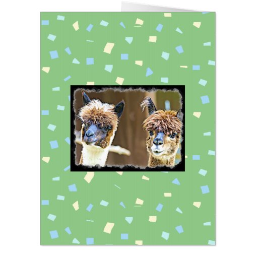 Funny Llama Humor Super Large Birthday Card | Zazzle