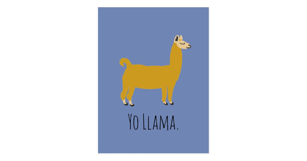 Funny Llama Pun Postcard | Zazzle.com