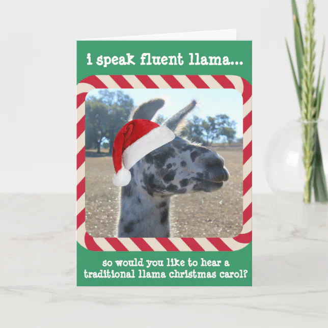 Funny Llama Xmas Card Tis the Season to be Jolllly | Zazzle