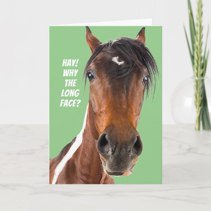 Funny Long Faced Horse Not Pasture Prime Birthday Card | Zazzle
