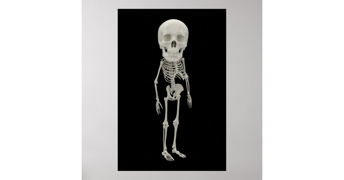 Funny looking skeleton poster | Zazzle