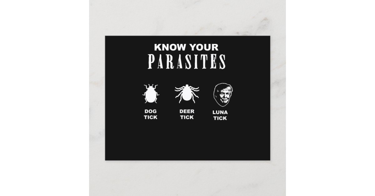 Funny Luna Tick Anti Trump Donald Trump Hater Know Postcard | Zazzle