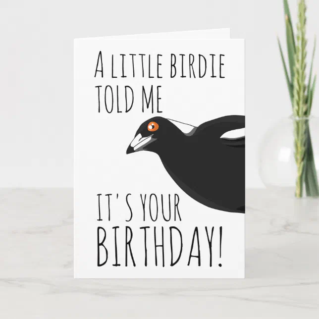 Funny magpie birthday card | Zazzle