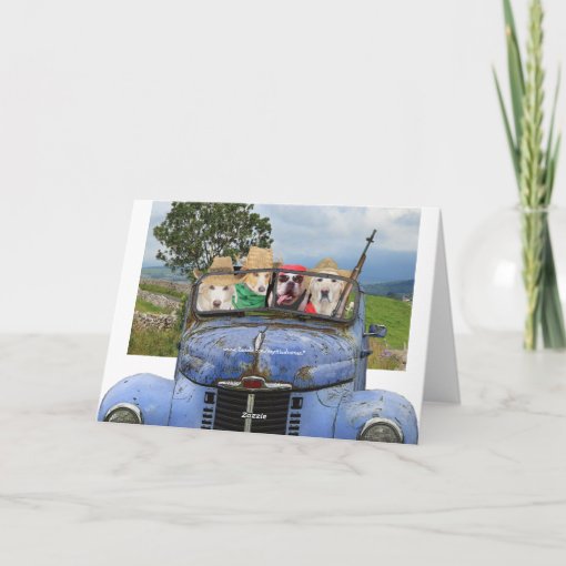 Funny Male Relative Birthday Card | Zazzle