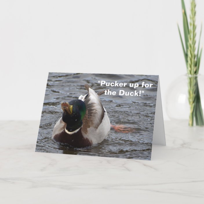 Funny Mallard Duck Birthday Card | Zazzle.com