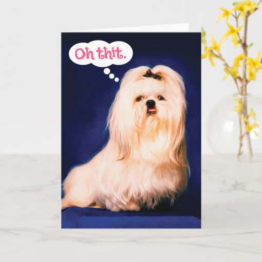 Funny Maltese Dog With Lisp Belated Birthday Card | Zazzle