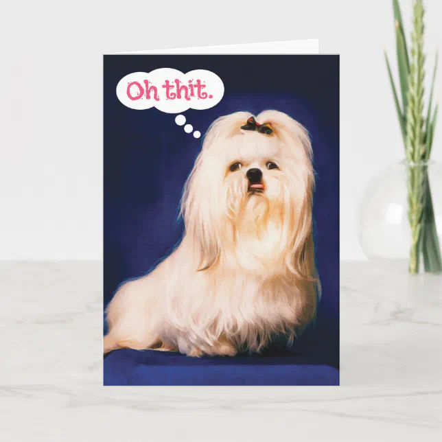 Funny Maltese Dog With Lisp Belated Birthday Card | Zazzle