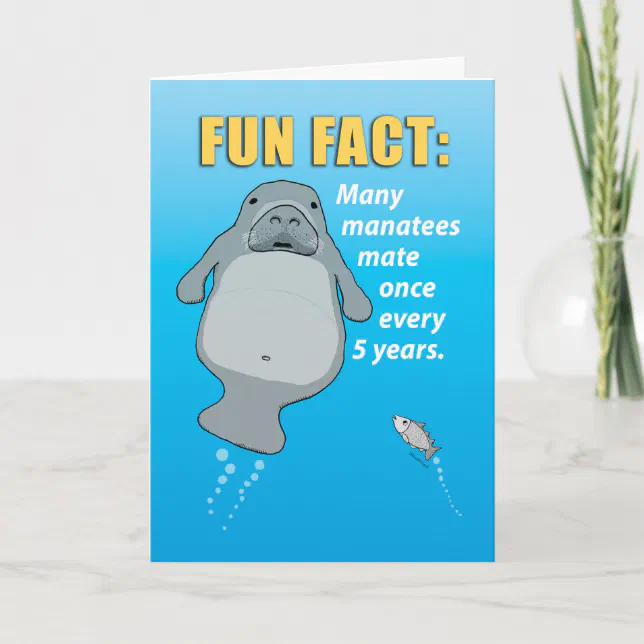Funny Manatee Mating Habits Birthday Card | Zazzle