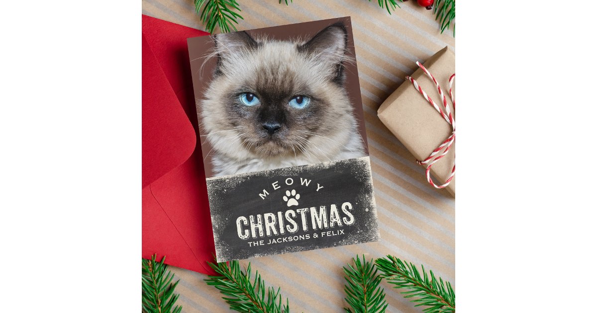 Funny Meowy Christmas Holiday Cat Photo | Zazzle