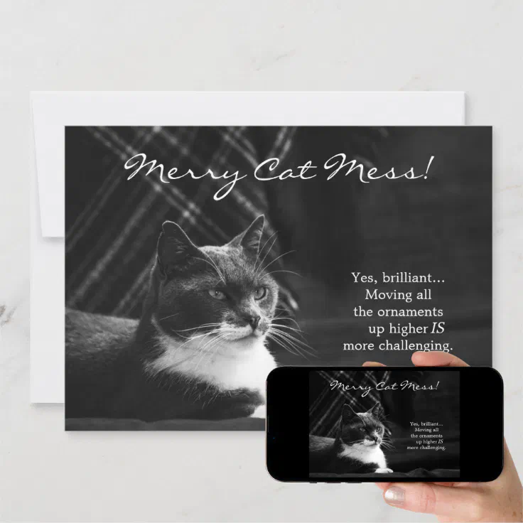 Funny Merry Cat Mess Christmas Holiday Card | Zazzle