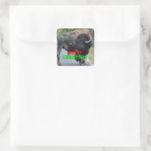Funny Merry Christmas Bull Bison Licking Testicles Square Sticker | Zazzle