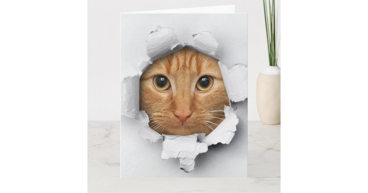 Funny Mischievous Cute Ginger Cat Card | Zazzle