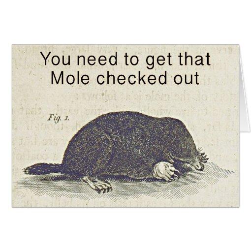 Funny Mole Greetings Card, Animal Birthday Humor | Zazzle