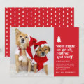 Funny Mom Made Us | Plural Pets Photo Christmas Holiday Card | Zazzle