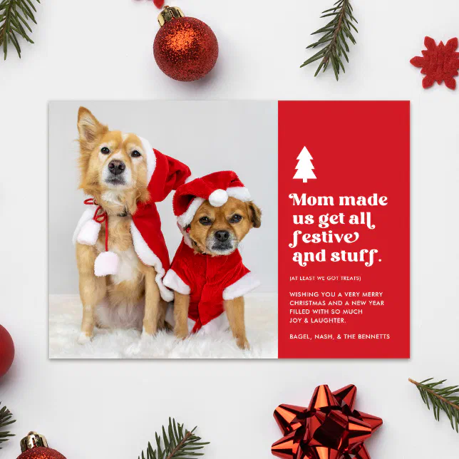 Funny Mom Made Us | Plural Pets Photo Christmas Holiday Card | Zazzle