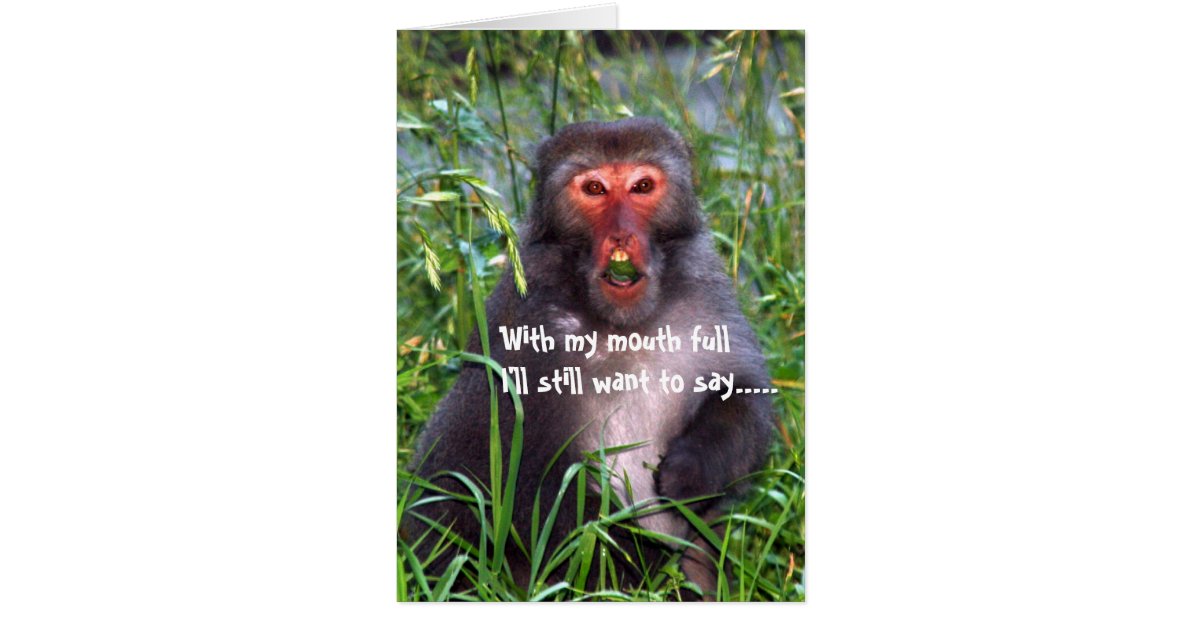 Funny Monkey All-Occasion Greeting Card | Zazzle