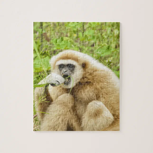 Funny Monkey Animal Jigsaw Puzzle | Zazzle