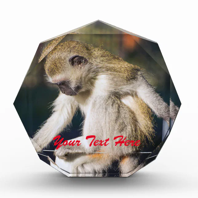 Funny Monkey Award | Zazzle