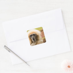 Funny Monkey Bad Hair Day Square Sticker | Zazzle