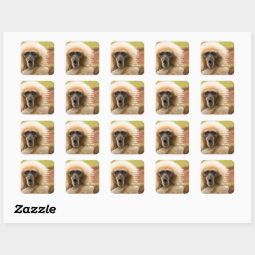 Funny Monkey Bad Hair Day Square Sticker | Zazzle