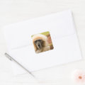 Funny Monkey Bad Hair Day Square Sticker | Zazzle