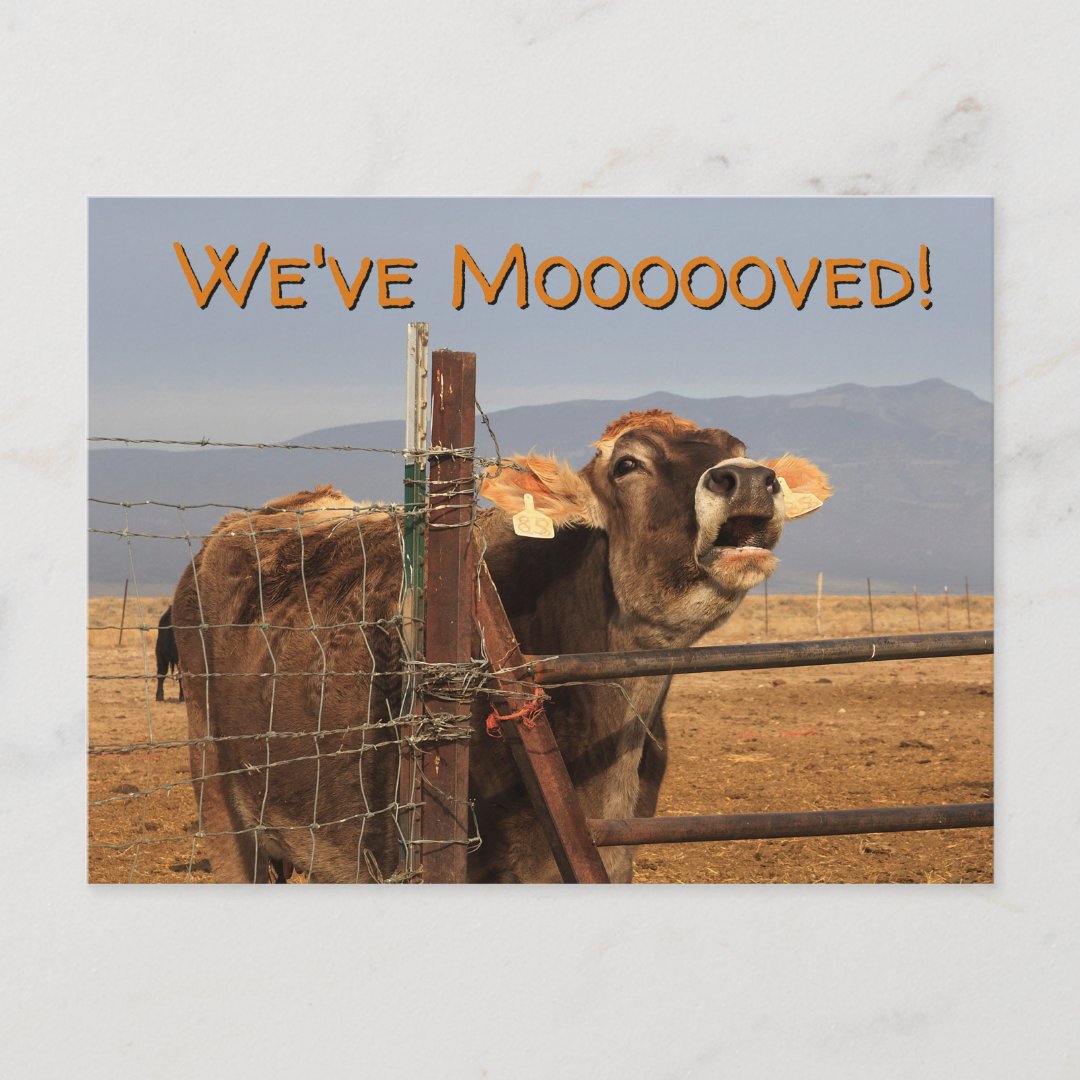 Funny Moving Announcement Postcard | Zazzle