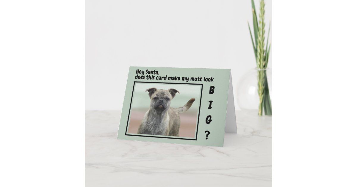 Funny Mutt Mixed Breed Dog Photo Christmas Holiday Card | Zazzle