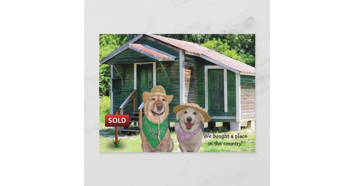 Funny New Address/Place in the Country Postcard | Zazzle