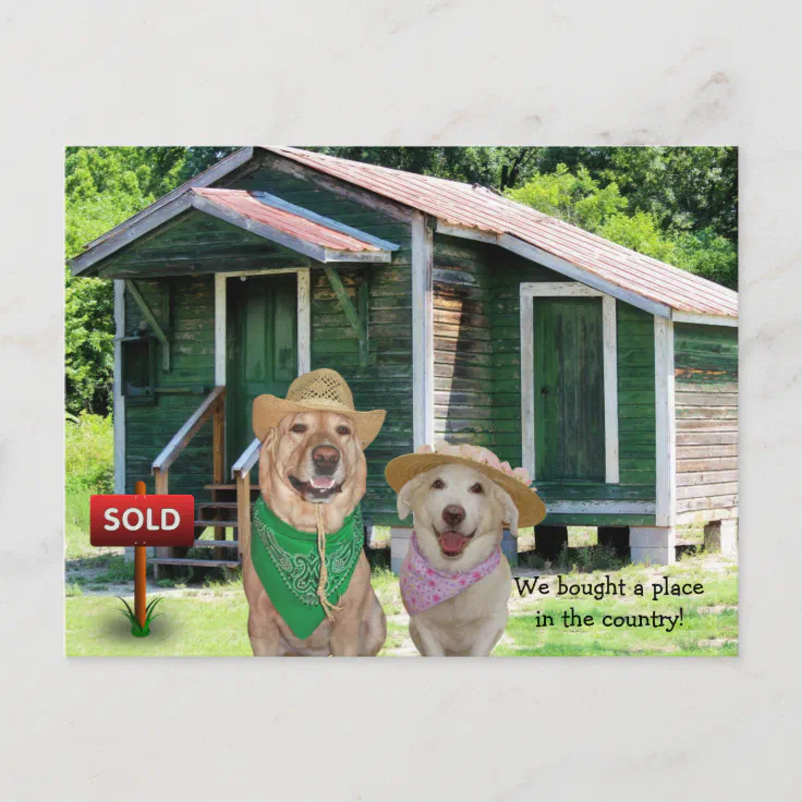Funny New Address/Place in the Country Postcard | Zazzle