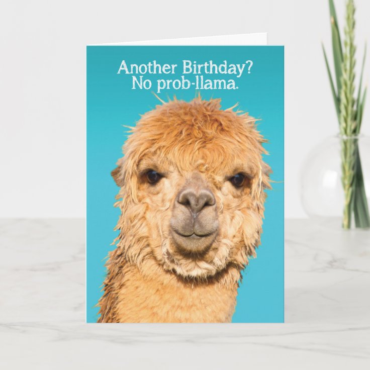 Funny No Problama Llama Birthday Wisdom Card | Zazzle