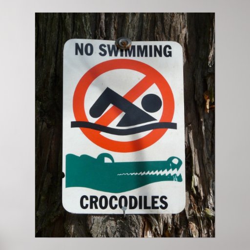 Funny NO SWIMMING Warning Sign Poster | Zazzle
