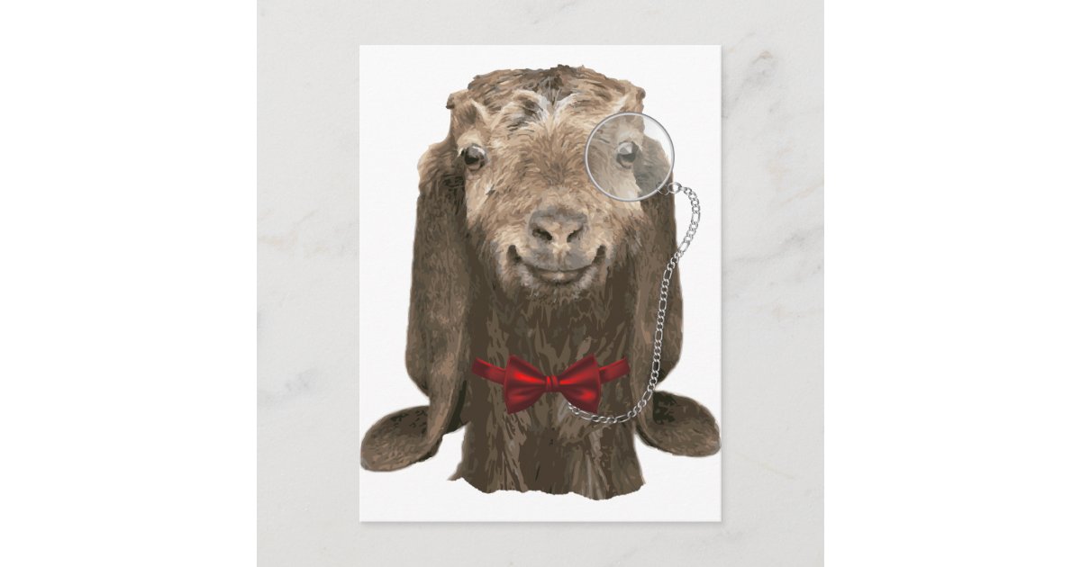 Funny Nubian Goat With Monocle Postcard | Zazzle