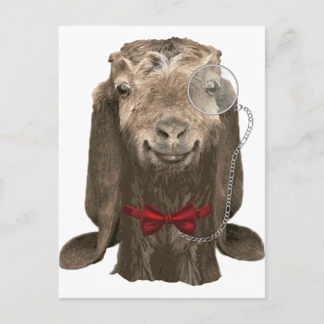Funny Nubian Goat With Monocle Postcard | Zazzle