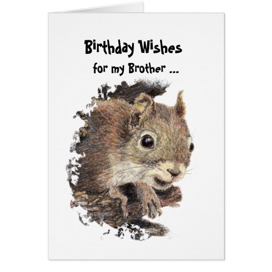 Funny, Nutty Brother Birthday Squirrel Card | Zazzle.com